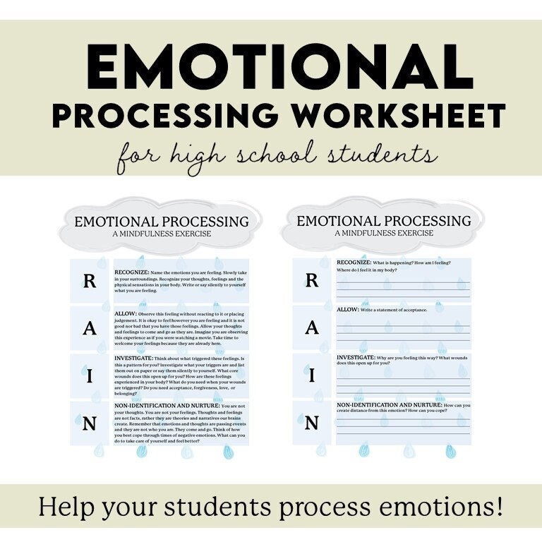 Emotional Regulation & Processing Worksheet. Emotional Regulation for ...