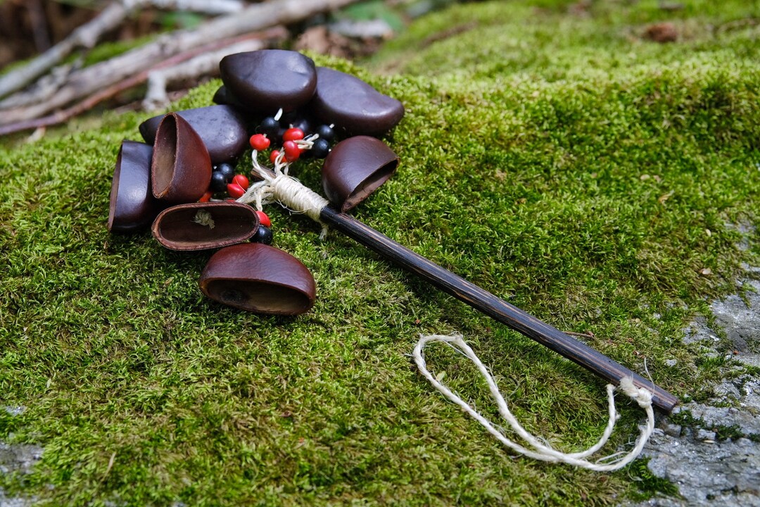 CONGOLO Rattle.shamanic Rattle Made Out of Jungle Seeds From Amazon ...