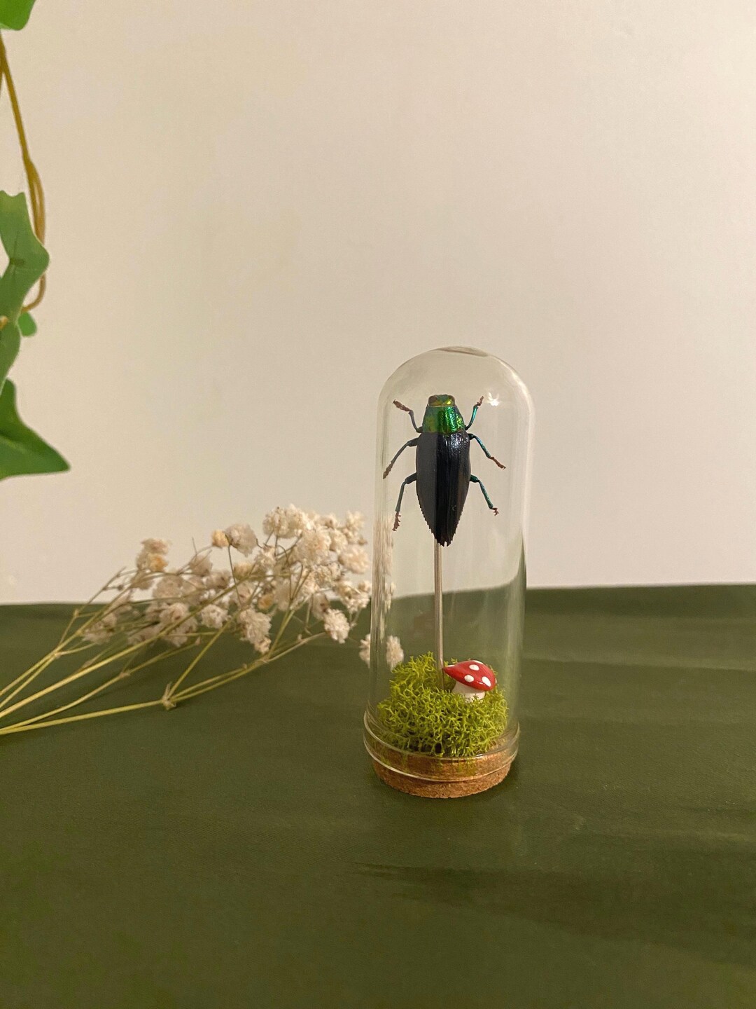 Beetle Dome Bottle Fairy Garden Beetle Taxidermy Cottagecore Glass ...
