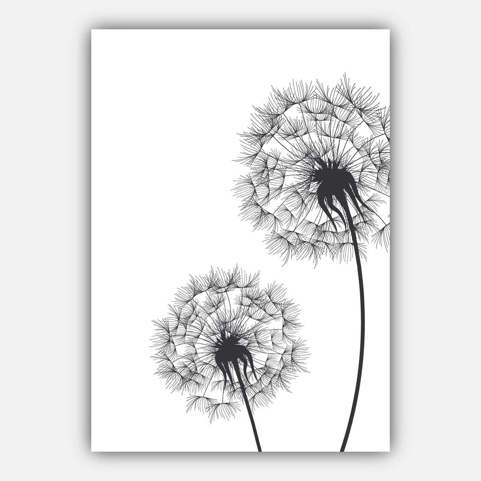 DANDELIONS Set of 3 Gallery Wall Art Prints Dandelion Flower | Etsy