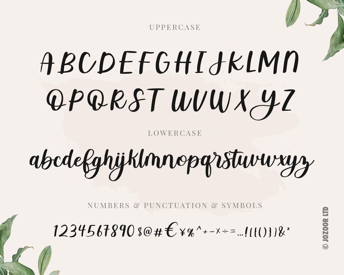 Script Font Handwritten Font Cursive Font Script Font SVG - Etsy