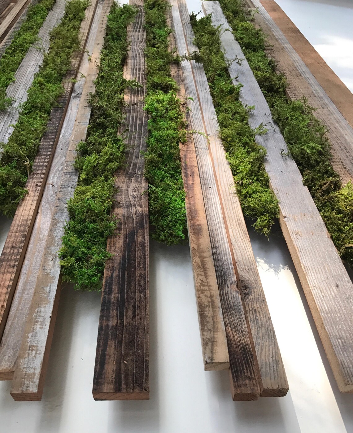 Hanging Garden / Moss Art - Etsy