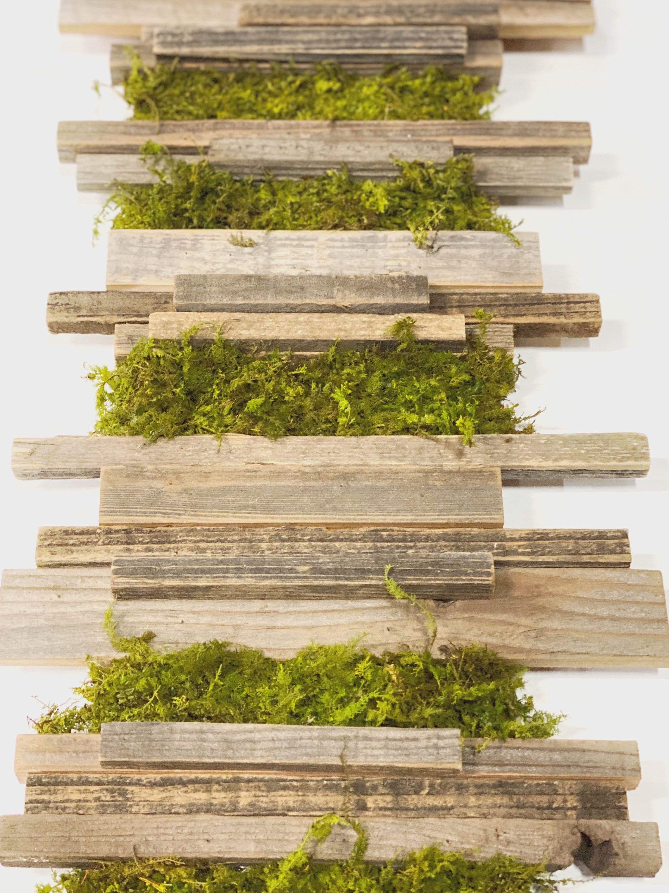 Rustic Mini Hanging Garden / Moss Art | Etsy