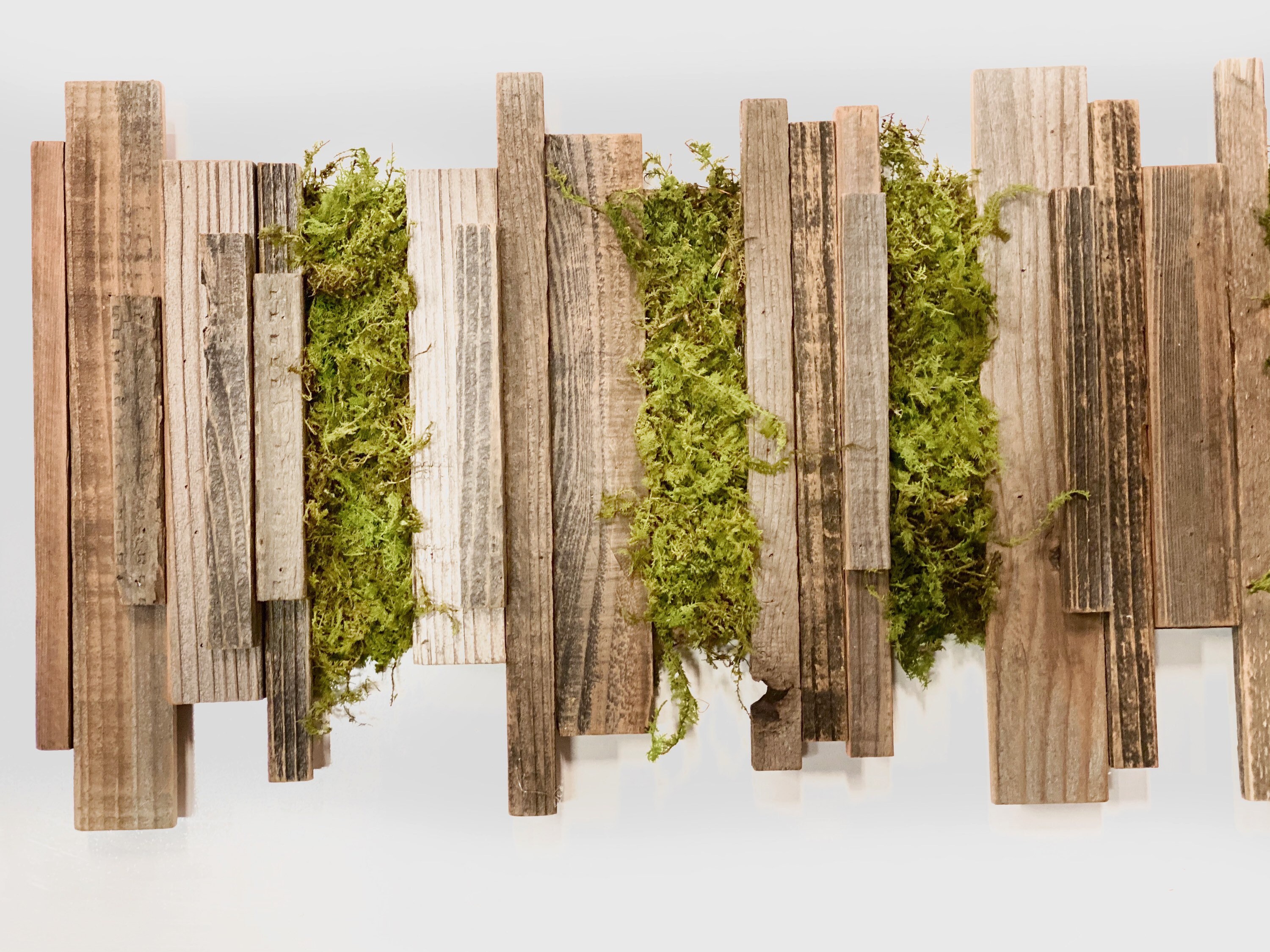 Rustic Mini Hanging Garden / Moss Art | Etsy