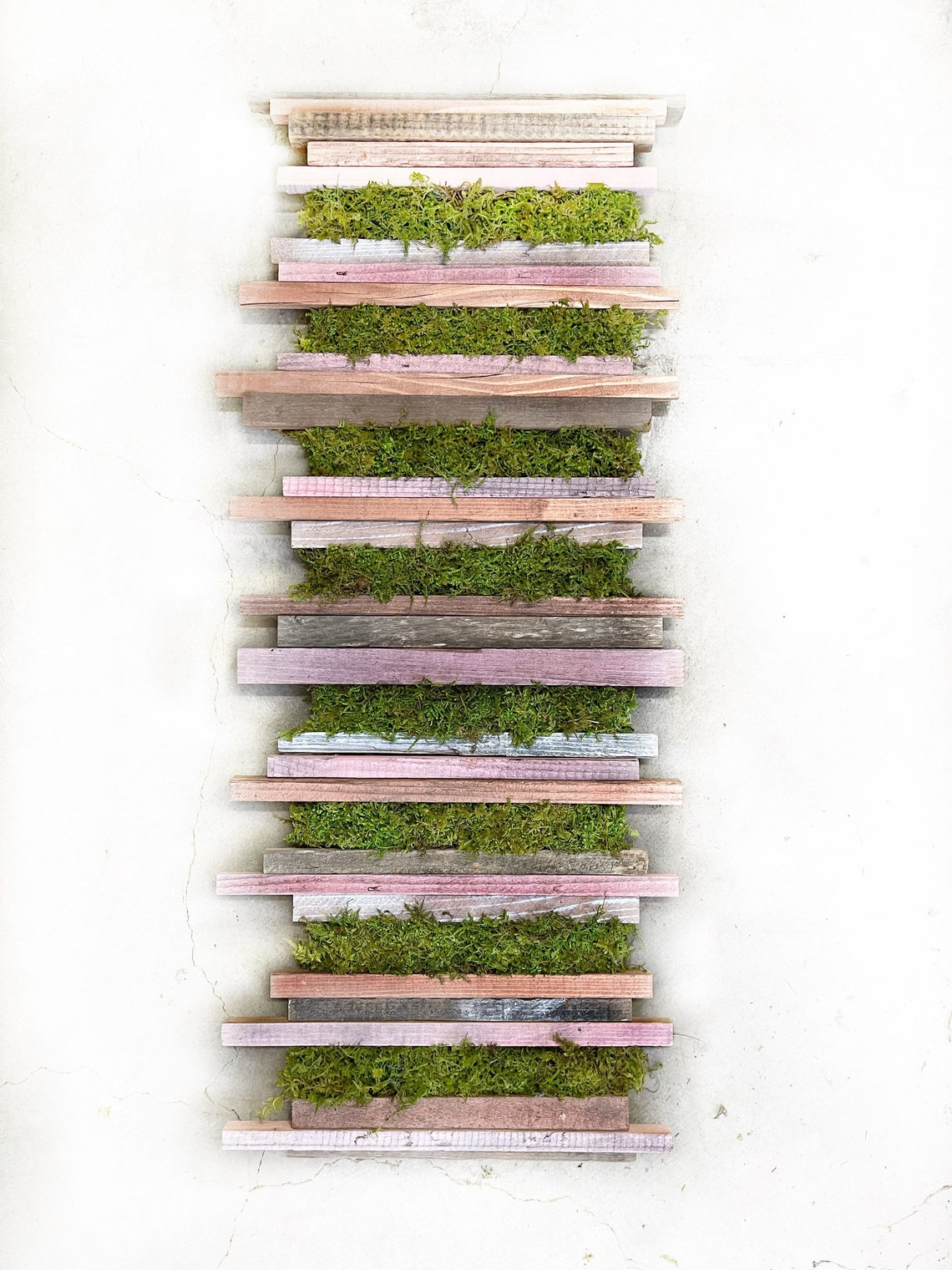 Rosy Hanging Garden Moss Wall Art | Etsy