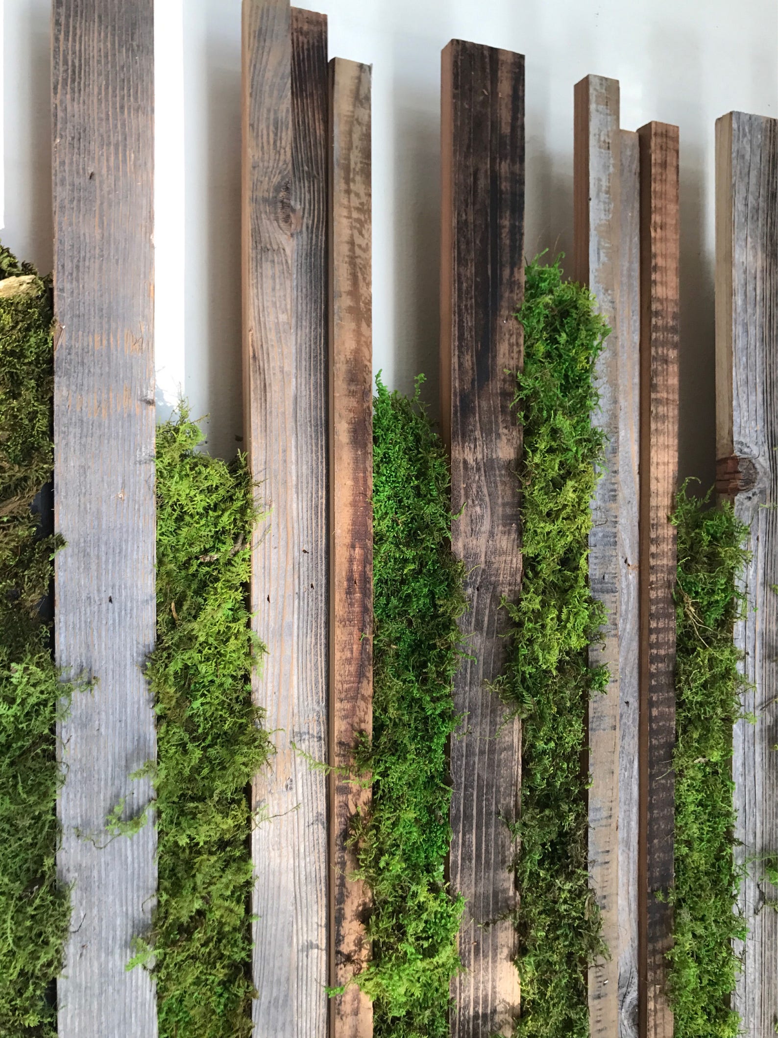 Hanging Garden / Moss Art - Etsy