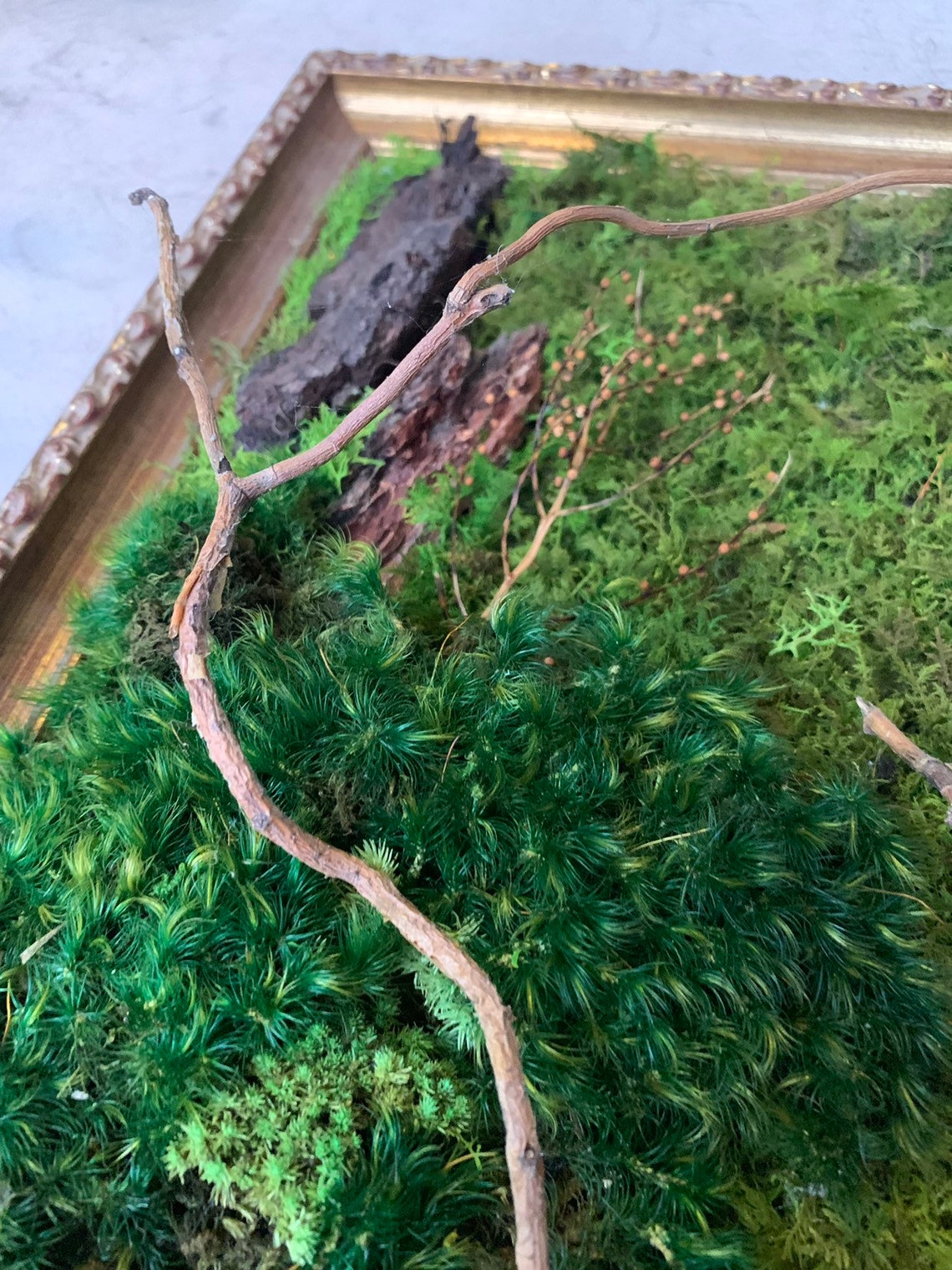Moss Art in Vintage Frame - Etsy