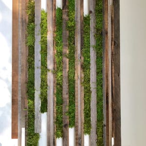 Hanging Garden / Moss Art - Etsy
