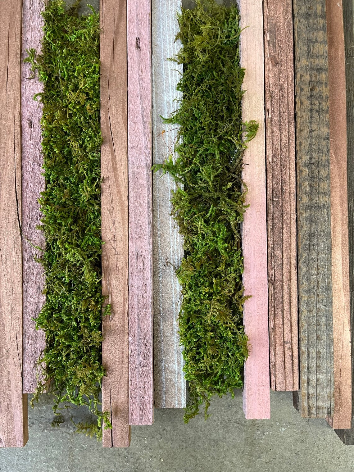 Rosy Hanging Garden Moss Wall Art | Etsy