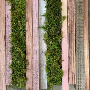 Rosy Hanging Garden Moss Wall Art - Etsy