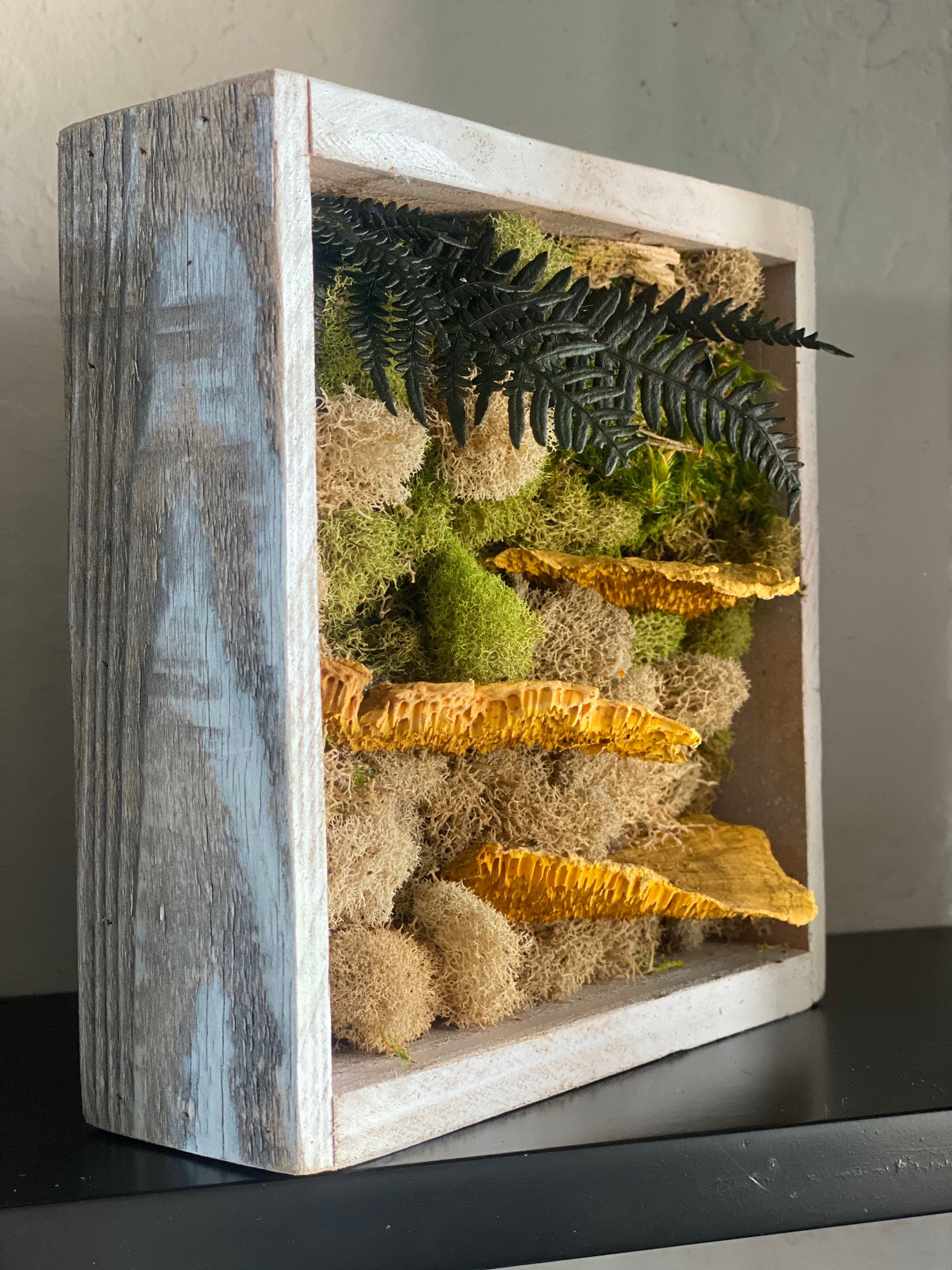 Forest in a Box - Etsy