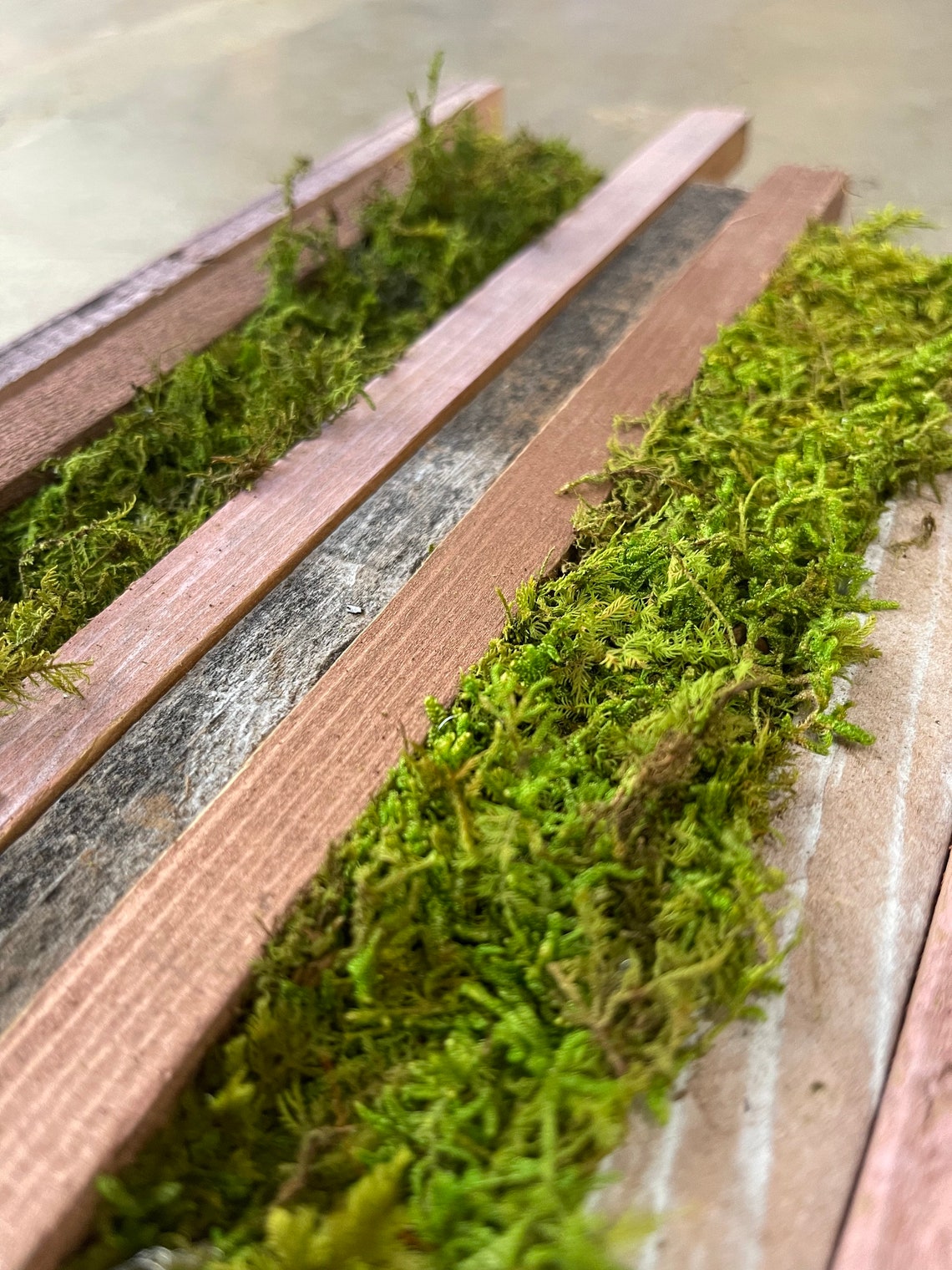 Rosy Hanging Garden Moss Wall Art | Etsy