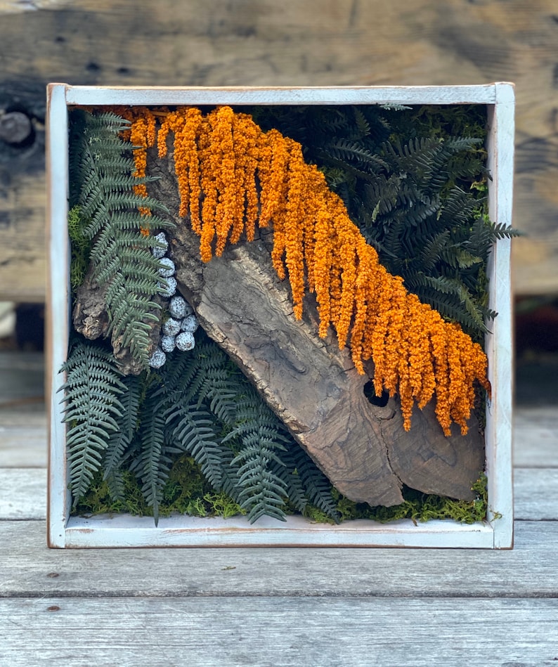 Autumn Moss Box Art - Etsy