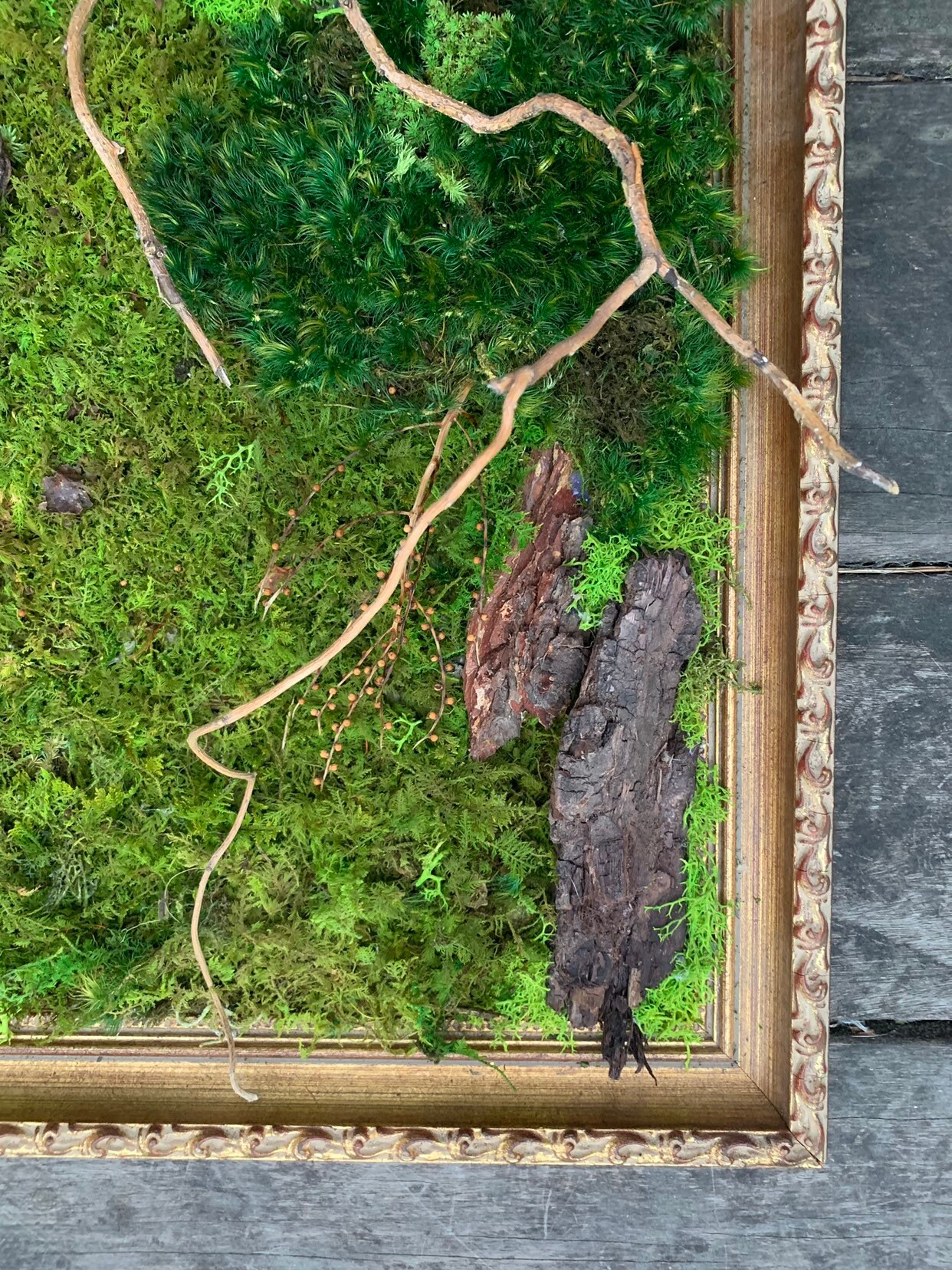 Moss Art in Vintage Frame - Etsy