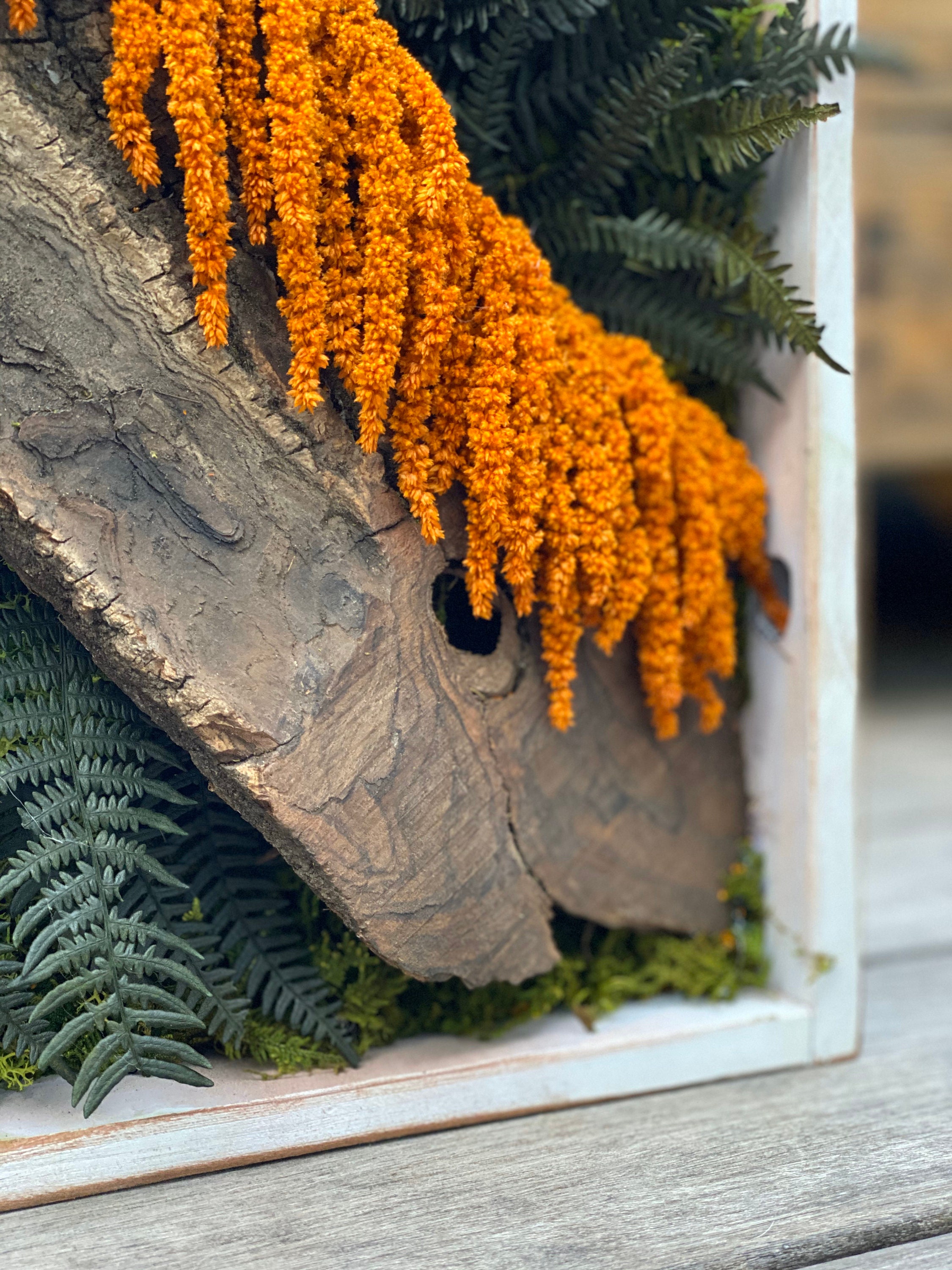 Autumn Moss Box Art - Etsy