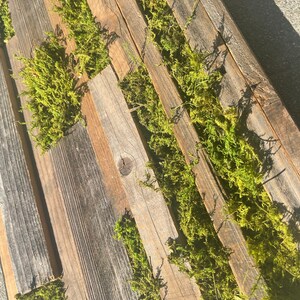 Patch Garden Reclaimed Wood Wall Art Panel - Etsy