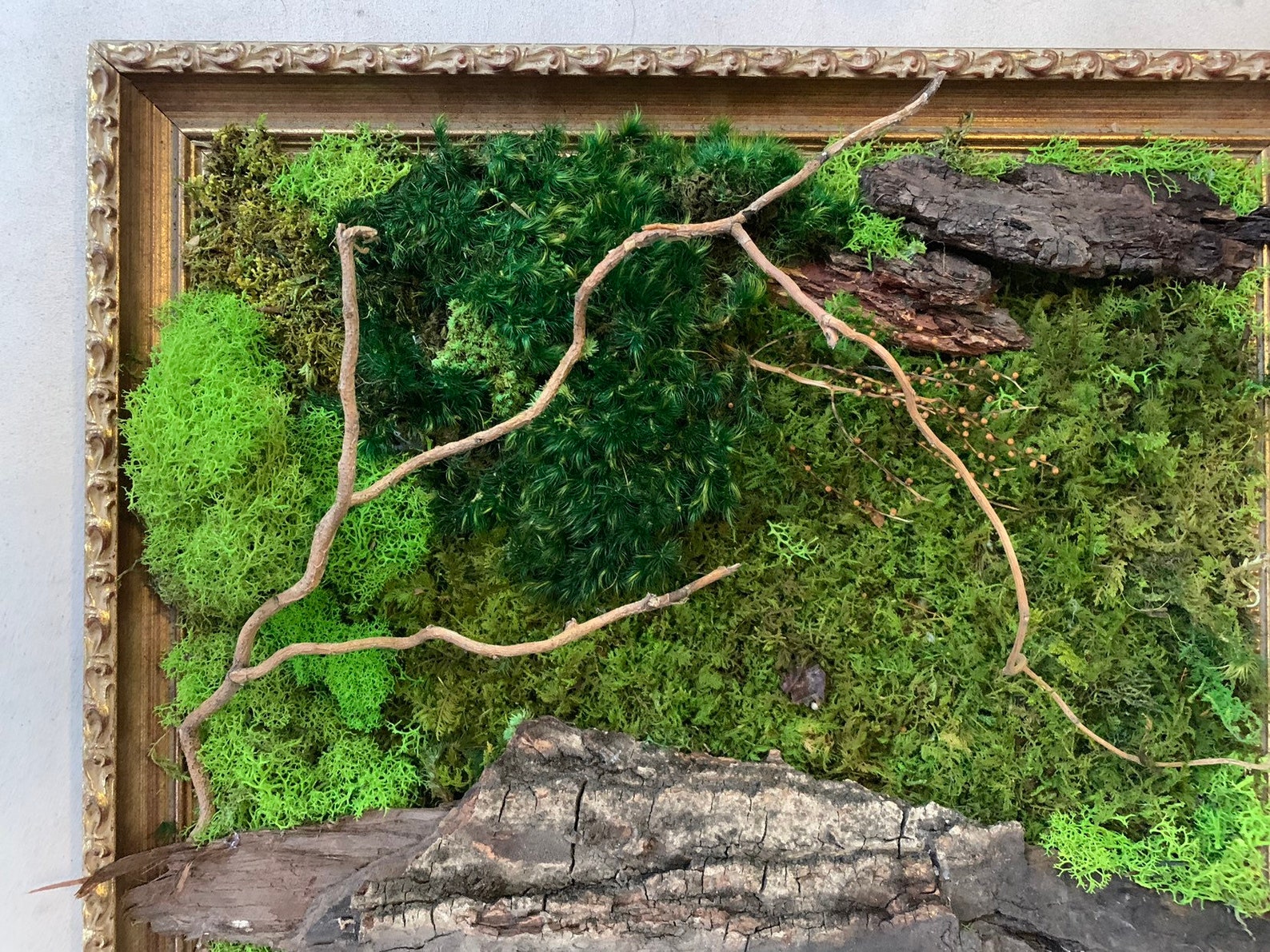 Moss Art in Vintage Frame - Etsy