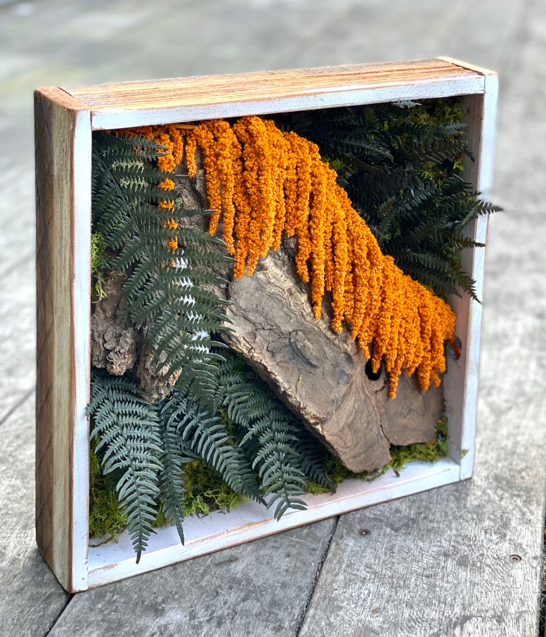 Autumn Moss Box Art - Etsy