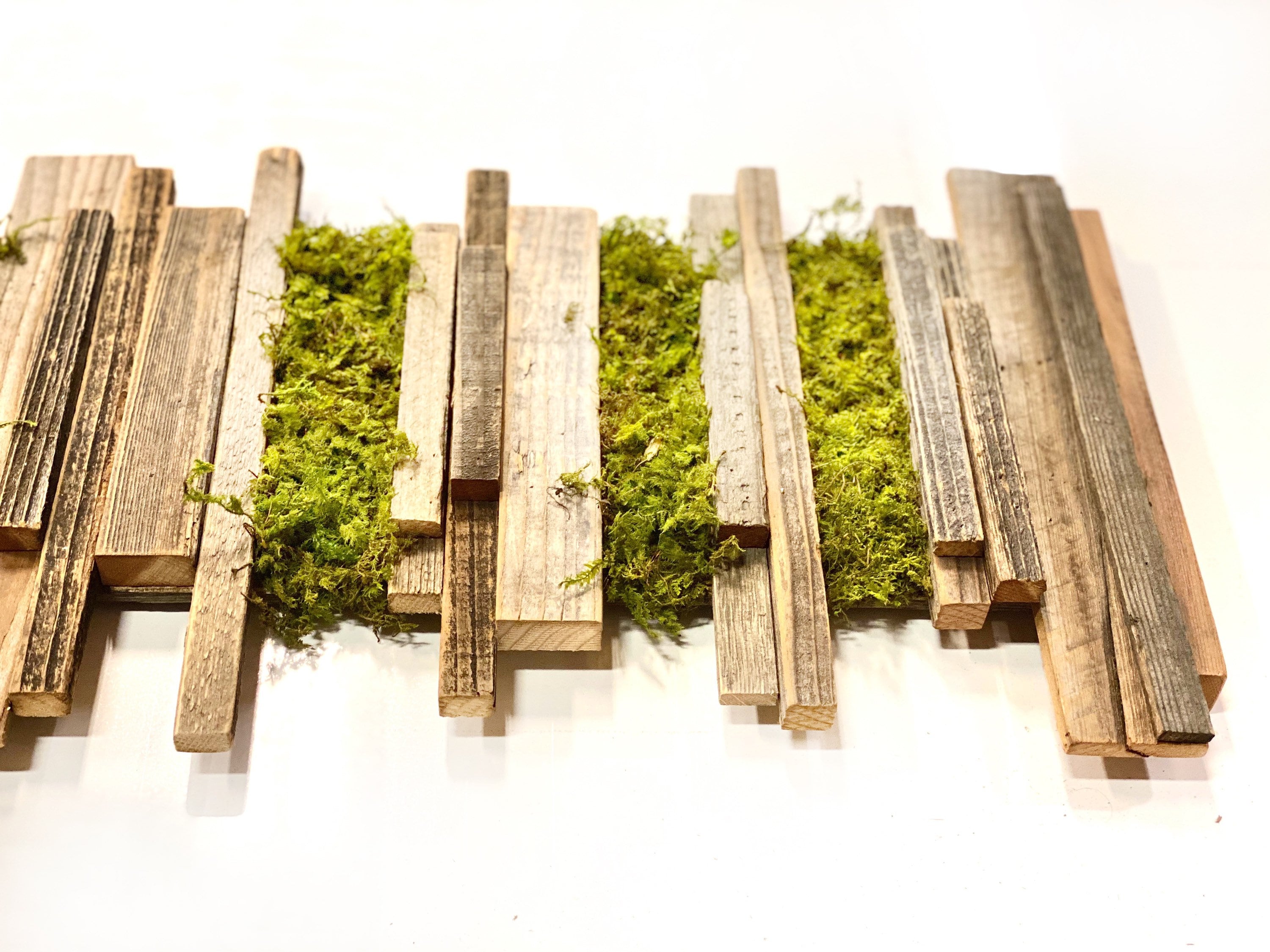 Rustic Mini Hanging Garden / Moss Art | Etsy