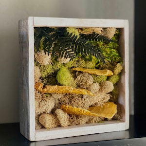 Forest in a Box - Etsy