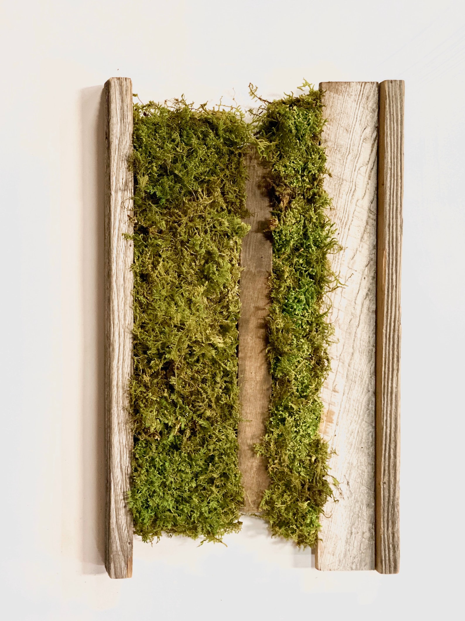 Mini Wall Garden / Moss Art | Etsy