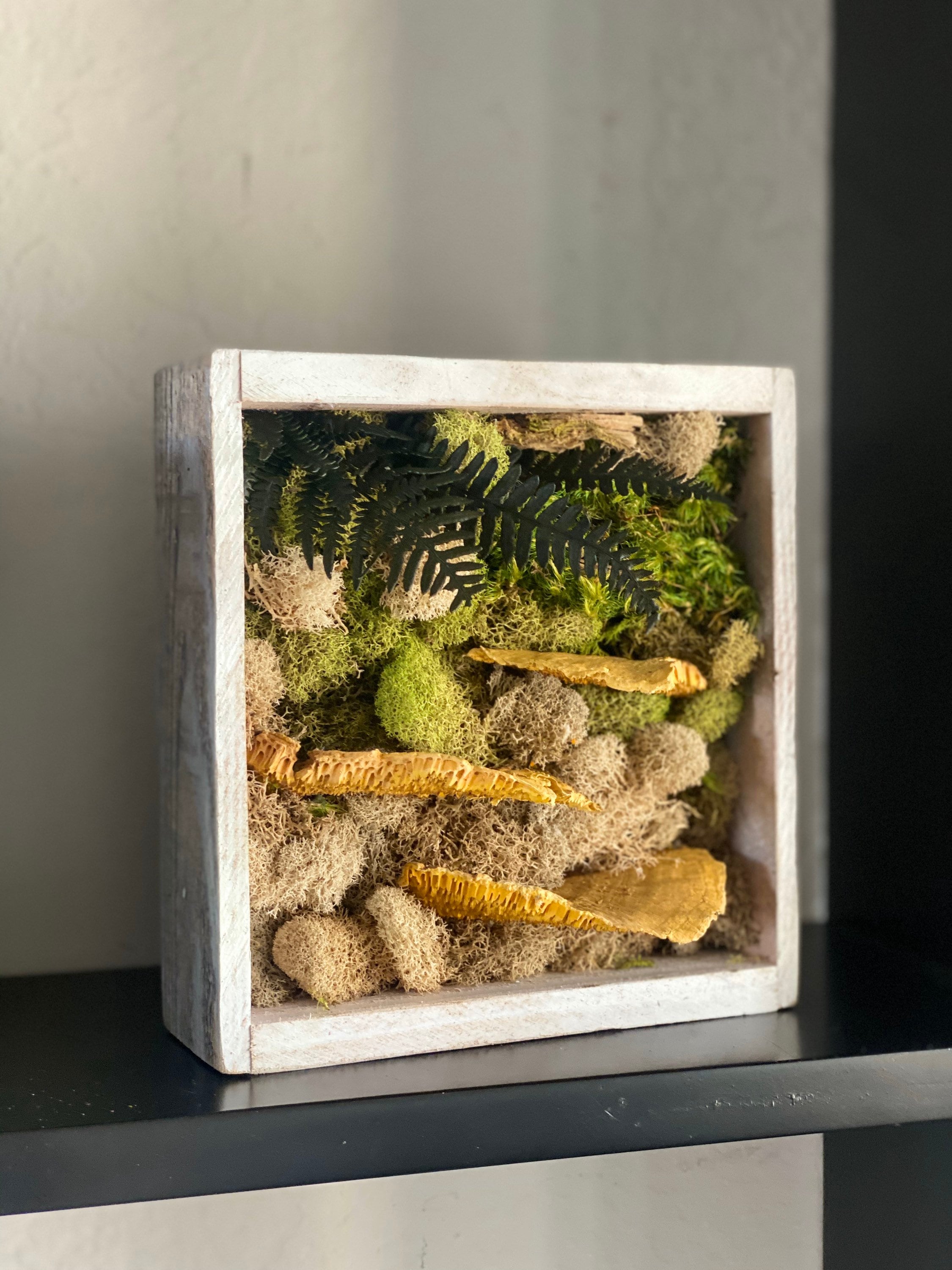 Forest in a Box - Etsy