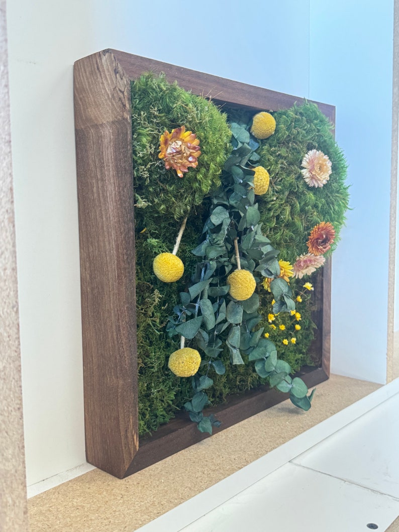 Summer Garden Moss Box Wall Art - Etsy