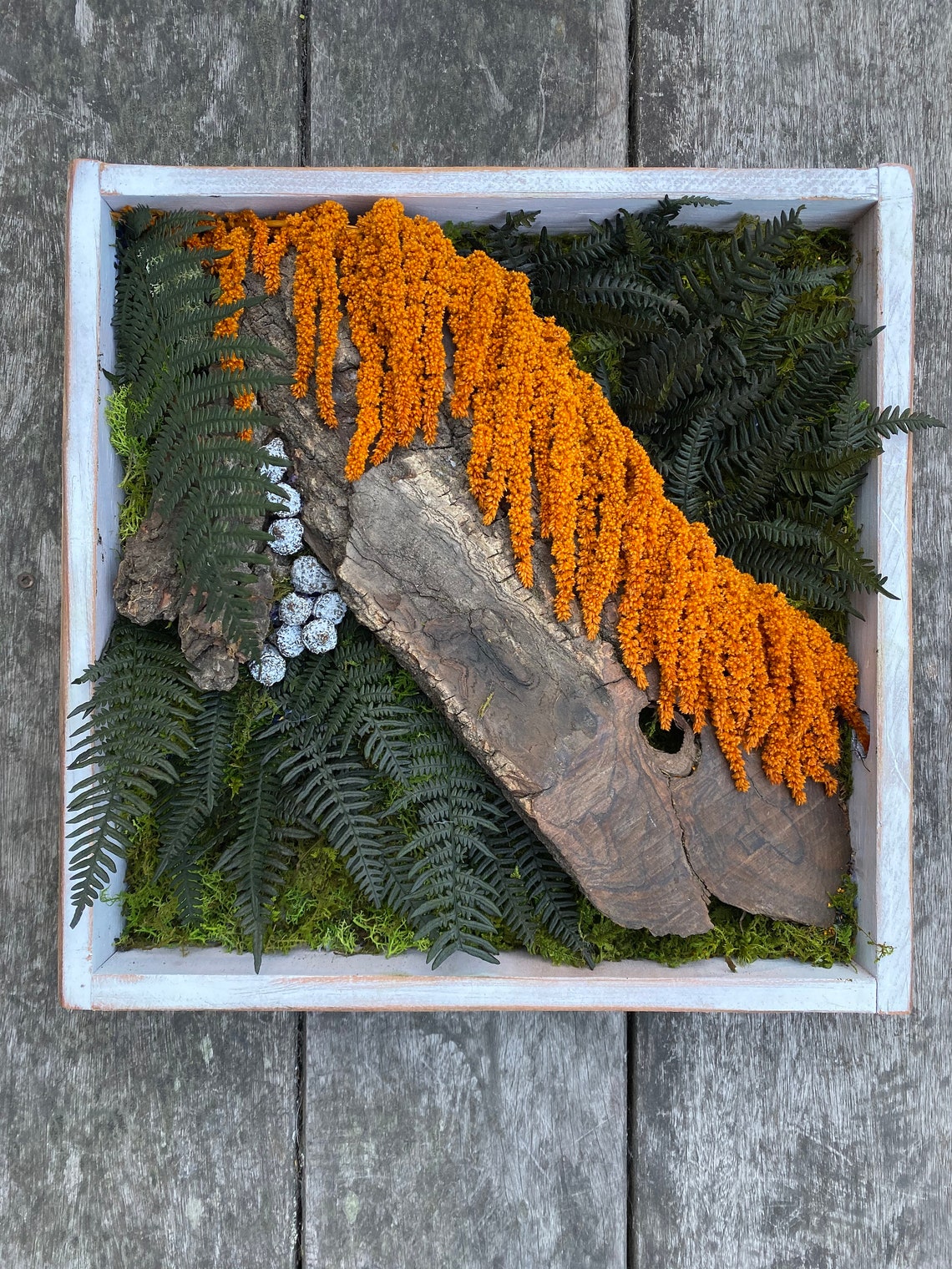 Autumn Moss Box Art - Etsy