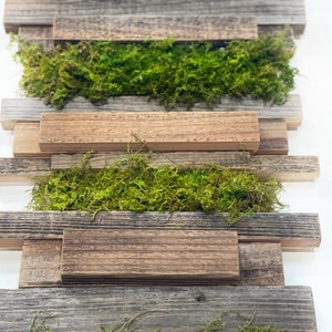 Rustic Mini Hanging Garden / Moss Art - Etsy