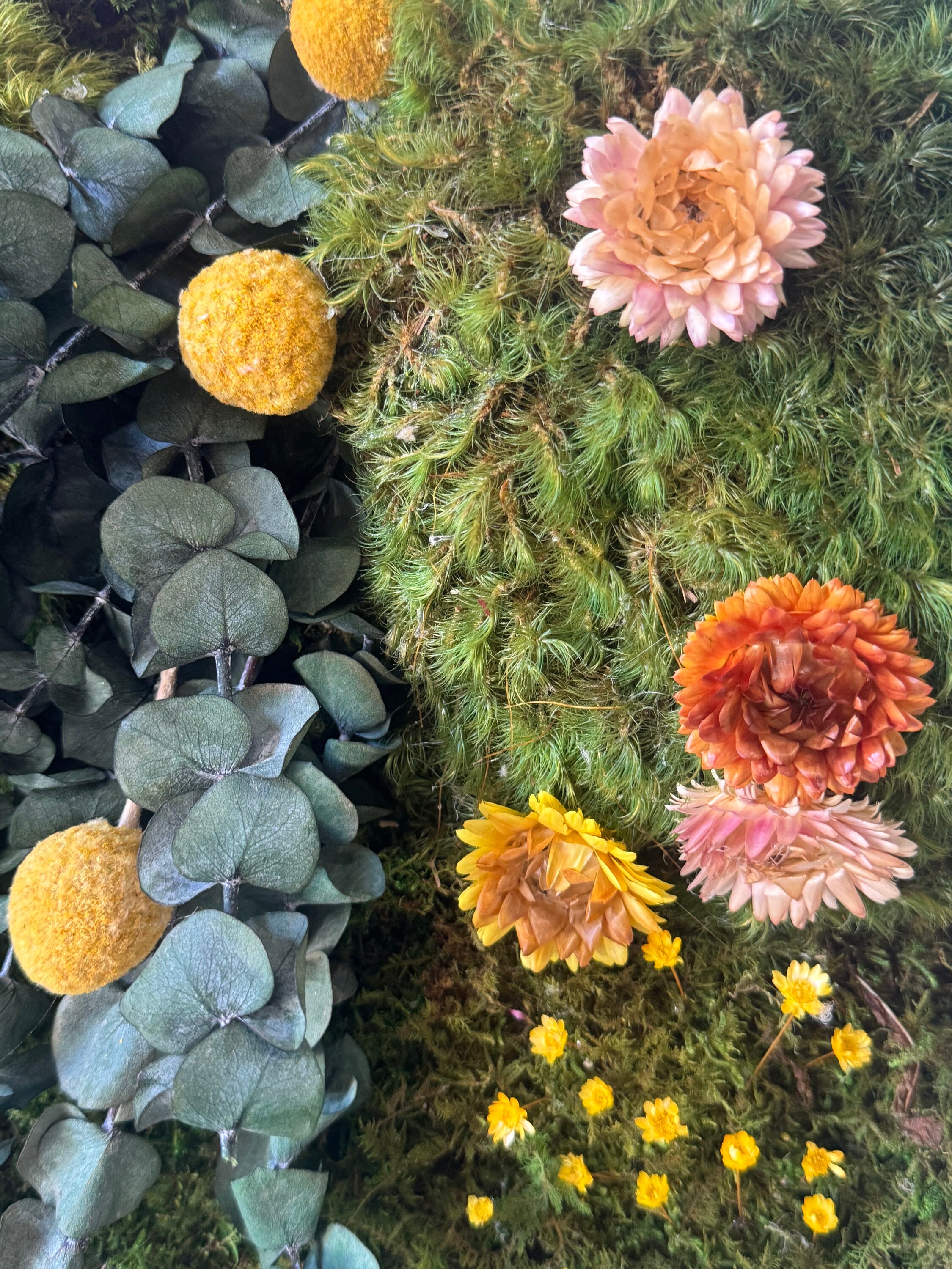 Summer Garden Moss Box Wall Art - Etsy