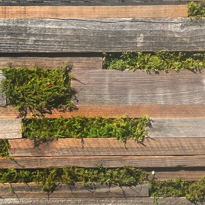 Patch Garden Reclaimed Wood Wall Art Panel - Etsy