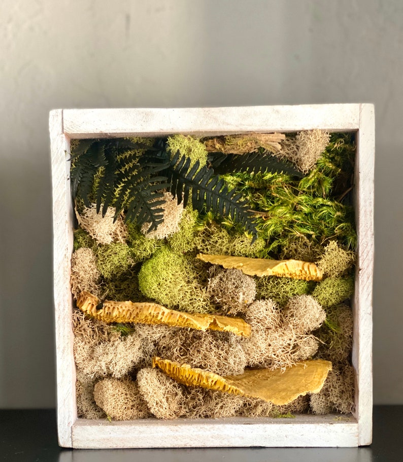Forest in a Box - Etsy