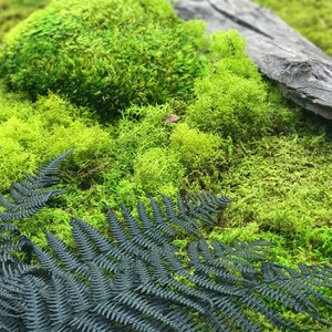 Moss and Fern Wall Art - Etsy