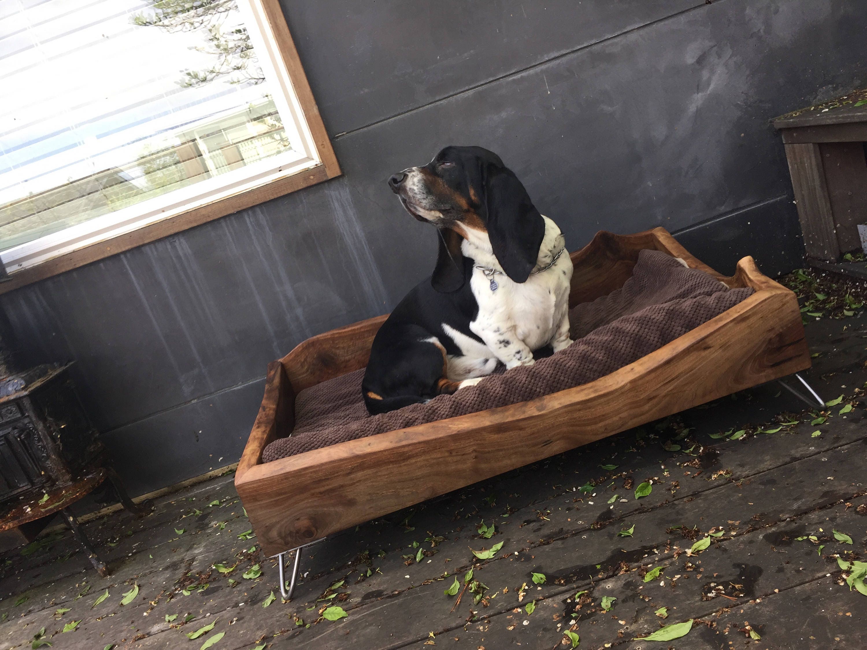 Live Edge Walnut Dog Bed - Etsy