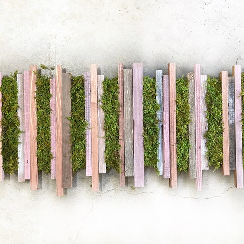 Mini Wall Garden / Moss Art - Etsy