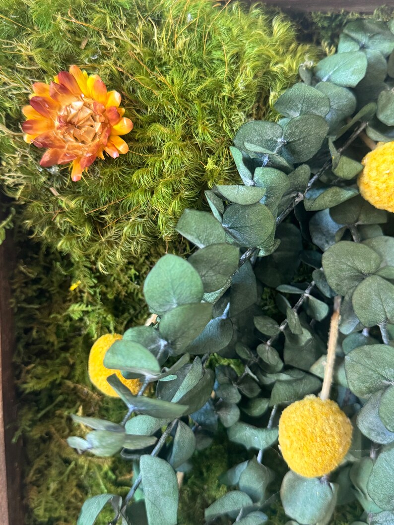 Summer Garden Moss Box Wall Art - Etsy