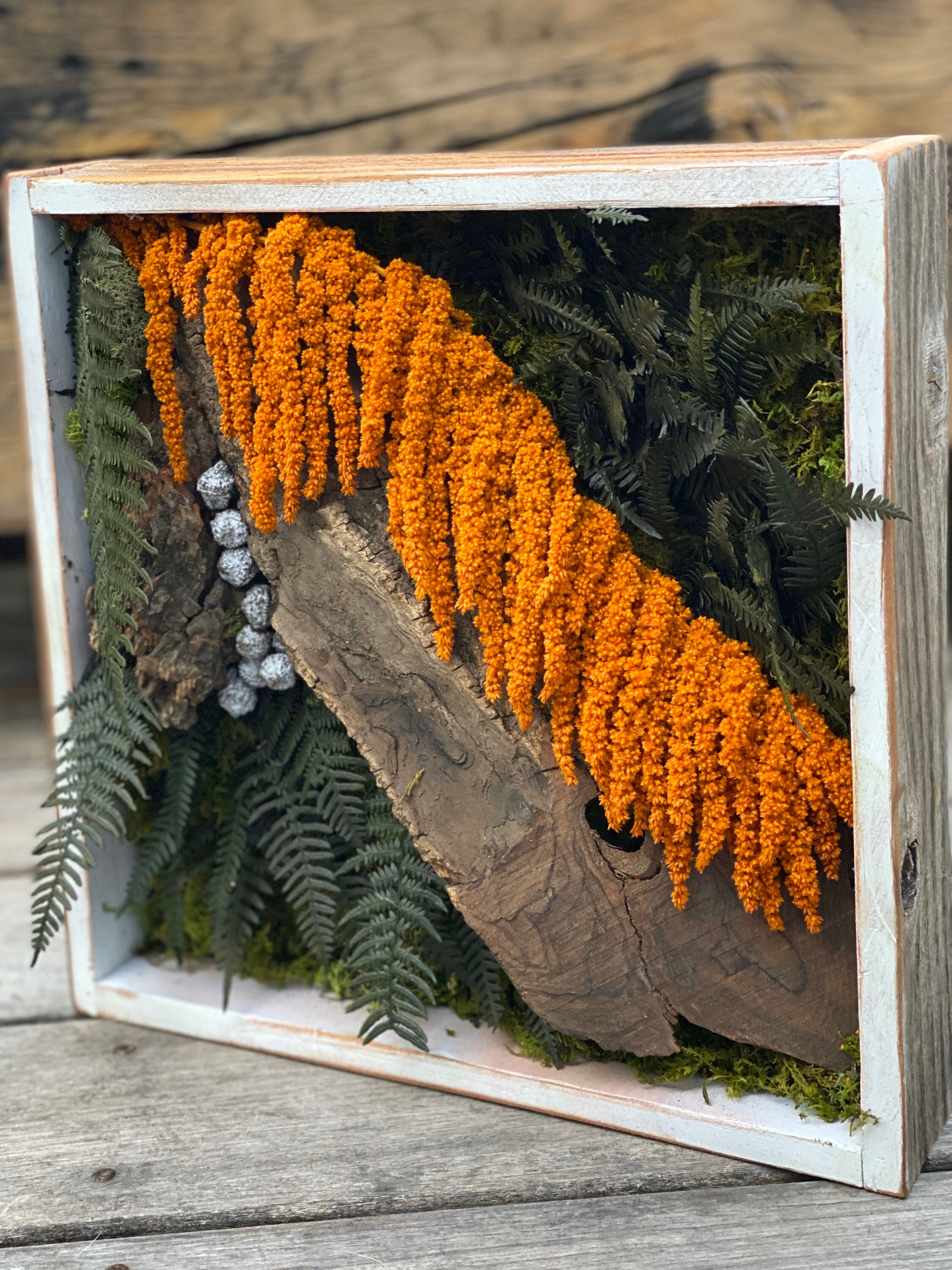 Autumn Moss Box Art - Etsy