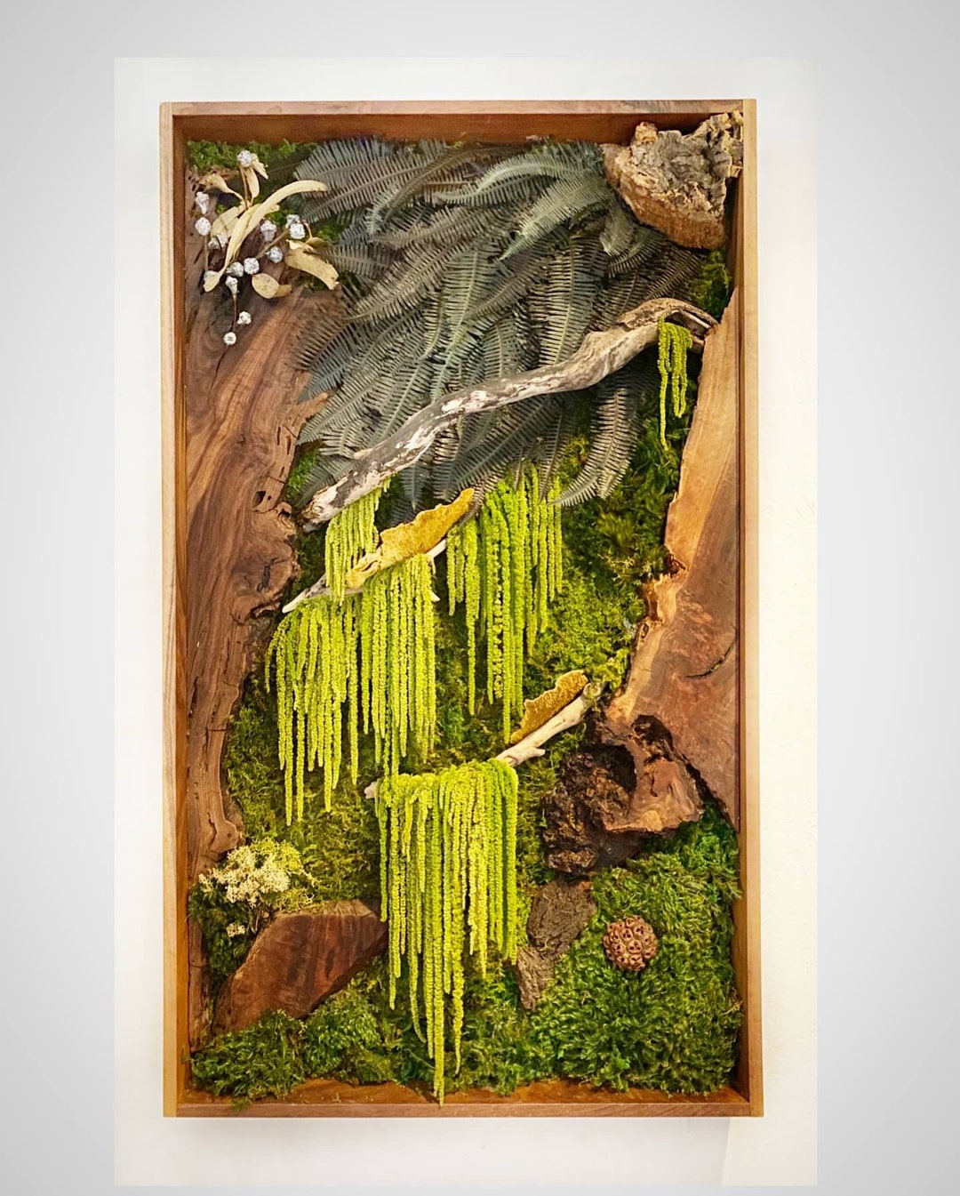 Hanging Jungle/ Walnut Slabs - Etsy