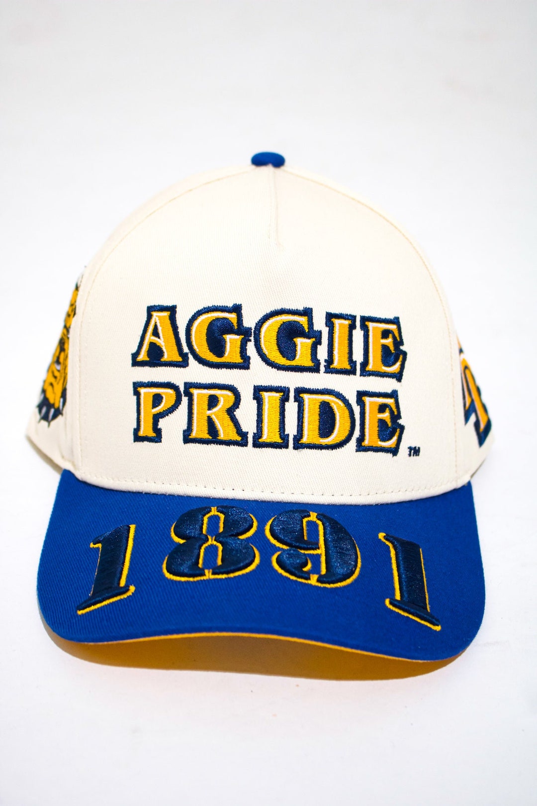 NCA&T Hat - Aggie Pride - Etsy