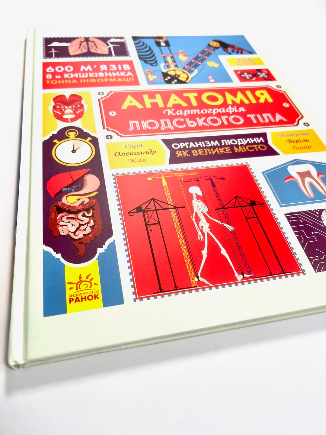 Ukrainian Book. "anatomy. Cartography of the Human Body". "Анатомія ...