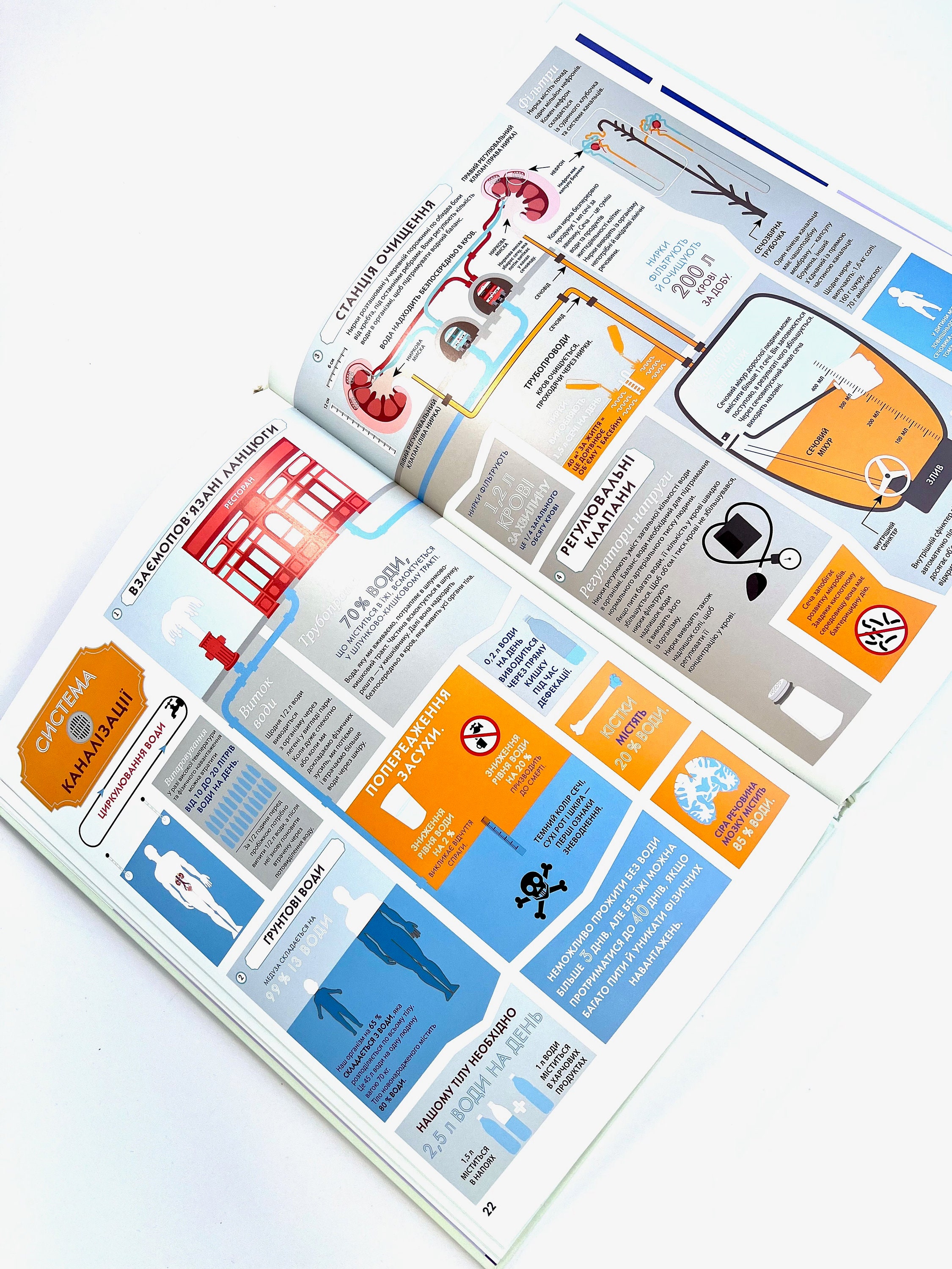 Ukrainian Book. "anatomy. Cartography of the Human Body". "Анатомія ...
