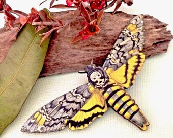 Deaths Head Moth Pin Brooch - Etsy