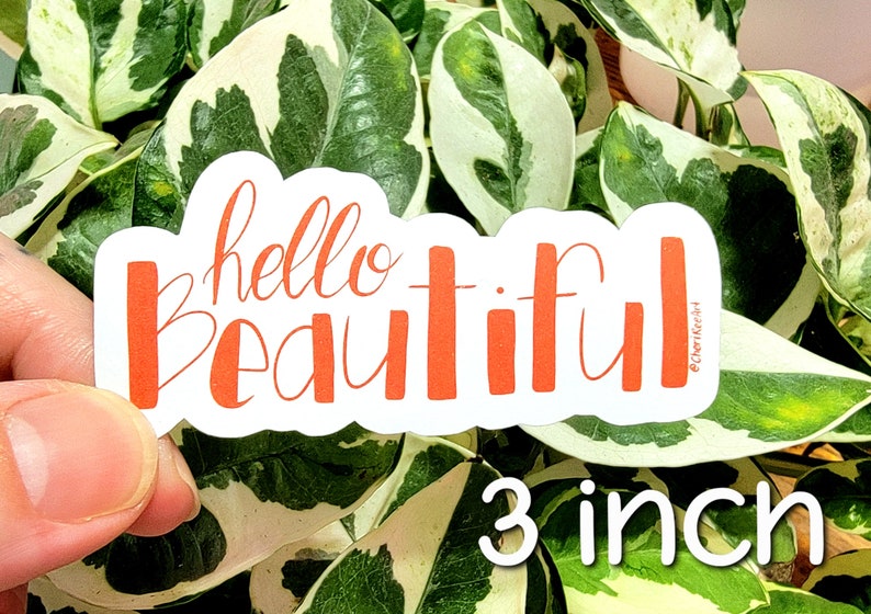 Hello Beautiful Sticker Waterproof Laminated Die Cut Rainbow - Etsy