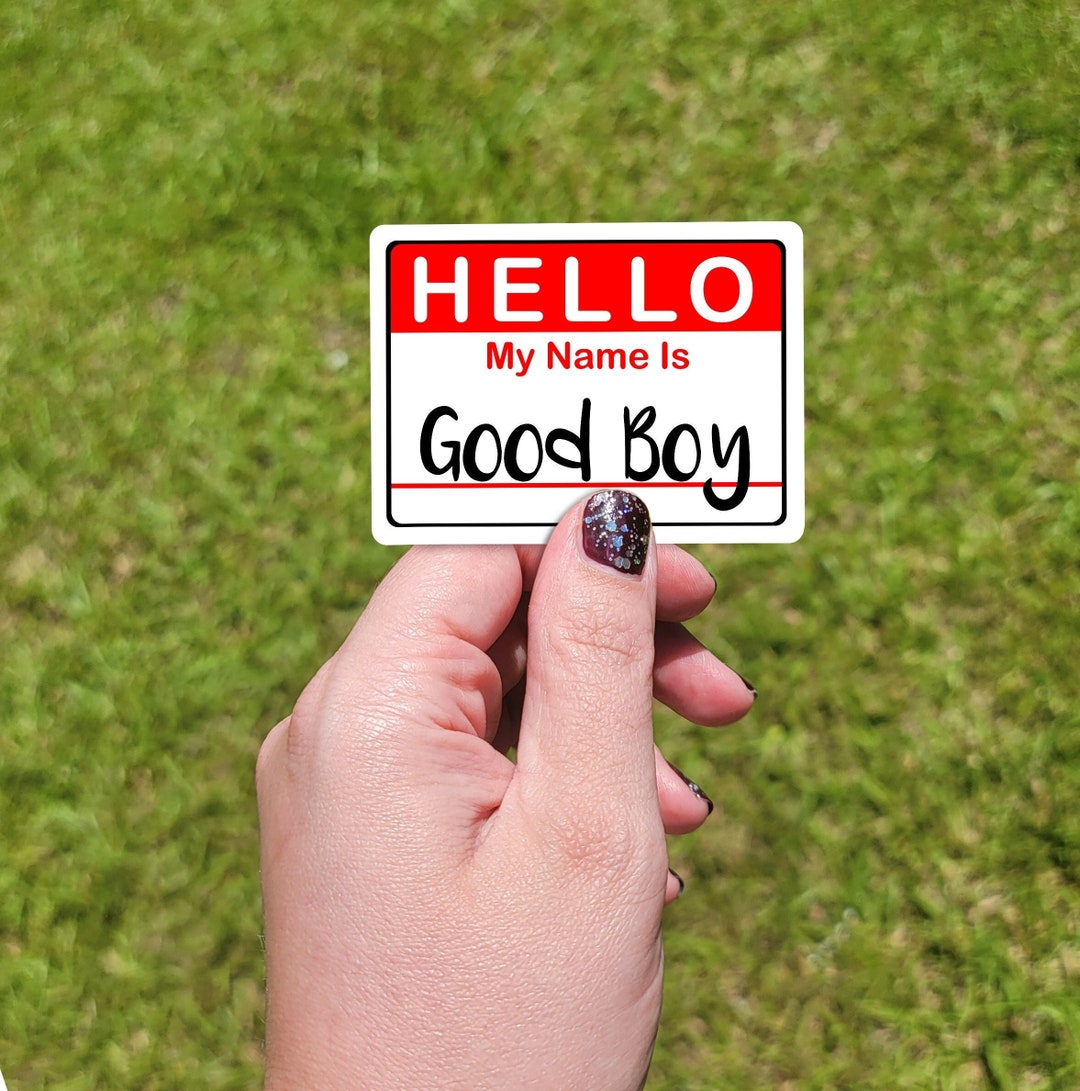 Sub Name Tag Sticker Good Boy~ BDSM Kinky Sexy Dom Sub Gift for Him Man ...