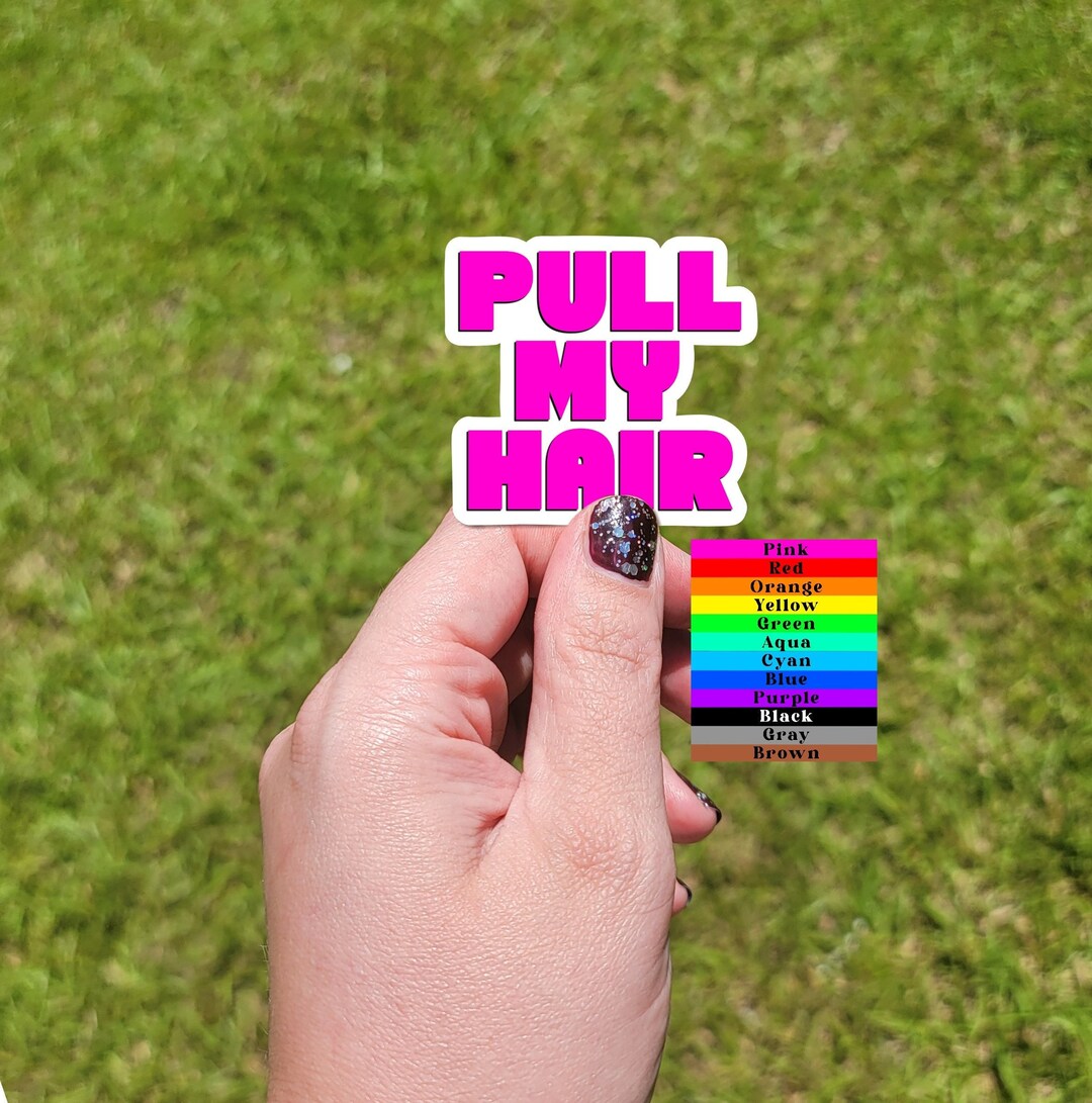 Pull My Hair Sticker, Kinky NSFW Masochist Gift for Dom - Etsy
