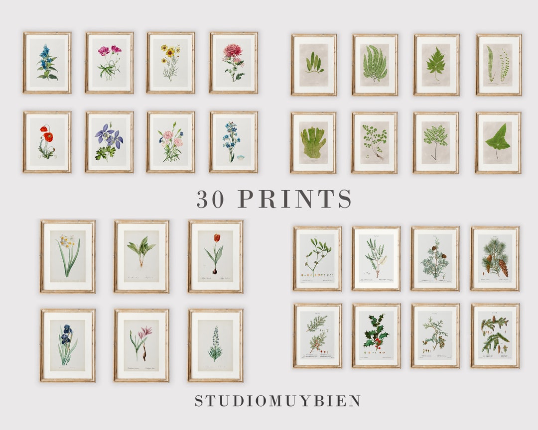 Vintage Botanical Gallery Wall Art Vintage Prints Bundle Vintage Flower ...