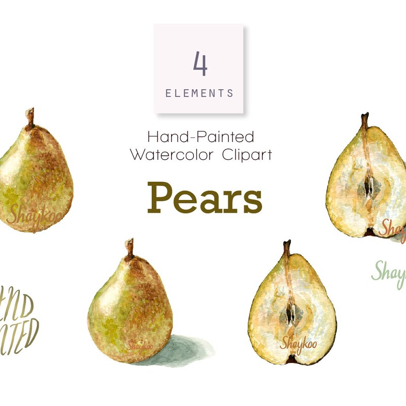 Painted Pears - Etsy