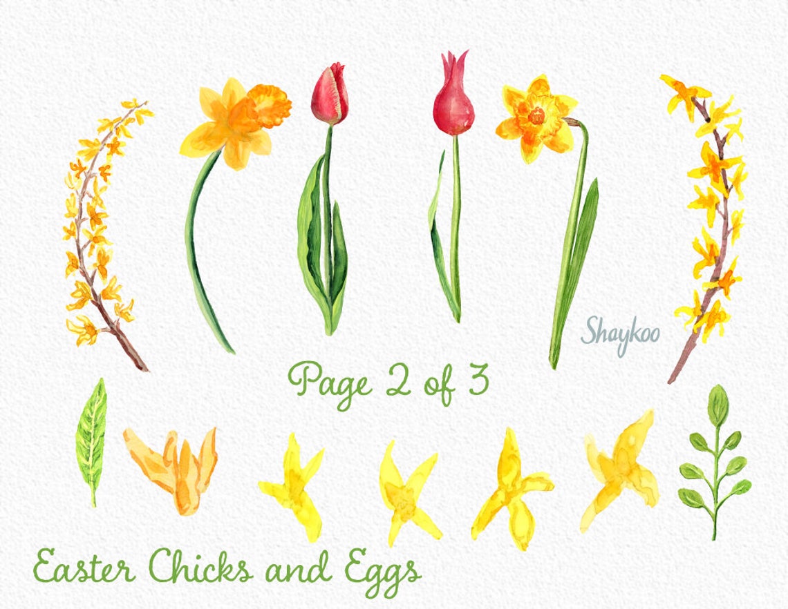 Watercolor Spring Clipart Watercolor Easter Chicks Easter - Etsy