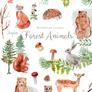 Forest Animals Watercolor Clipart, Woodland Animals Illustration ...