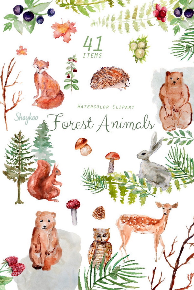Forest Animals Watercolor Clipart, Woodland Animals Illustration ...